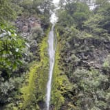 Dog Stream Waterfall via Waterfall Track, Canterbury, New Zealand - 146 ...