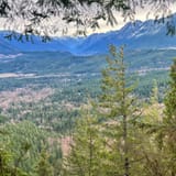 Cedar Butte Trail, Washington - 1,874 Reviews, Map | AllTrails