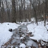 Goodnow Mountain Trail, New York - 1,268 Reviews, Map | AllTrails
