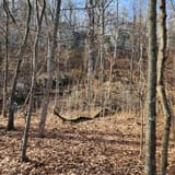 Tinker Cliffs via Andy Layne Trail, Virginia - 1,550 Reviews, Map ...
