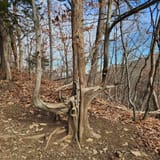 Tinker Cliffs via Andy Layne Trail, Virginia - 1,550 Reviews, Map ...