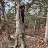 Tinker Cliffs via Andy Layne Trail, Virginia - 1,550 Reviews, Map ...
