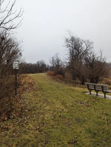 Best Hikes and Trails in Grunwald Farms Forest Preserve | AllTrails