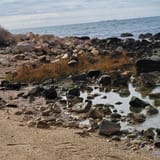 Bluff Point State Park and Coastal Reserve Trail, Connecticut - 3,383 ...