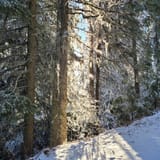 Mount Kit Carson Loop Road, Trail 140 and Trail 110 Loop, Washington ...
