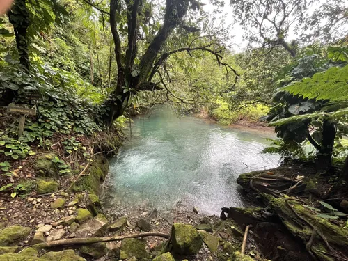 Best Hikes and Trails in Volcán Tenorio National Park | AllTrails