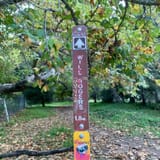 Murphy Ranch Trail, California - 3,515 Reviews, Map | AllTrails