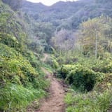 Murphy Ranch Trail, California - 3,515 Reviews, Map | AllTrails