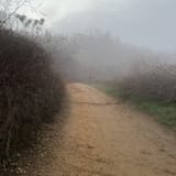 Fryman Canyon Trail, California - 5,976 Reviews, Map | AllTrails