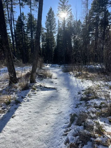 Best Hikes and Trails in Stillwater State Forest | AllTrails