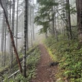Mount Rose Trail, Washington - 1,384 Reviews, Map | AllTrails