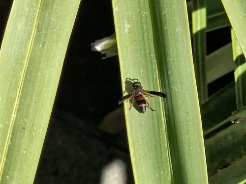 Best Hikes and Trails in Fort Fanning Park | AllTrails