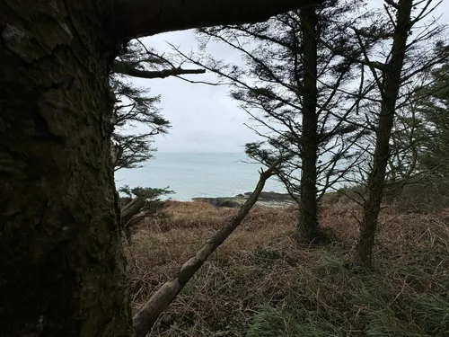 Best Hikes and Trails in Clogheen Marsh Nature Reserve | AllTrails