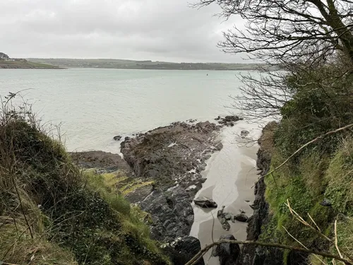 Best Hikes and Trails in Clogheen Marsh Nature Reserve | AllTrails