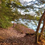 Goose Pond Loop, New Hampshire - 720 Reviews, Map | AllTrails