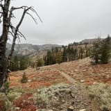 Blue Lake Trail, Idaho - 467 Reviews, Map | AllTrails