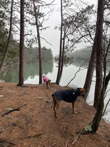 Best Hikes and Trails in Long Reach Preserve | AllTrails