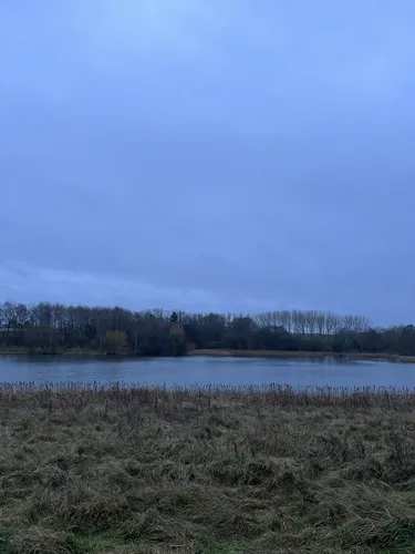 Best Hikes and Trails in Sywell Country Park | AllTrails