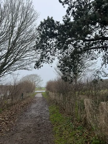 Best Hikes and Trails in Sywell Country Park | AllTrails