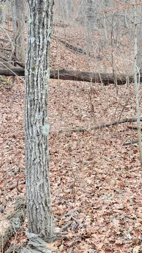 Best Hikes and Trails in Blue & Gray Park Preserve | AllTrails