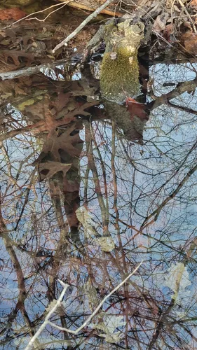 Best Hikes and Trails in Blue & Gray Park Preserve | AllTrails