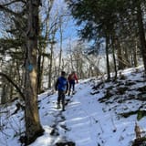 Red Spruce Knob, West Virginia - 234 Reviews, Map | AllTrails