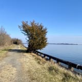Greenbury Point Trail, Maryland - 1,006 Reviews, Map | AllTrails