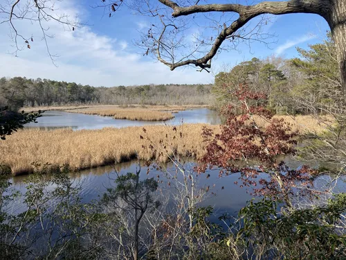 Best Hikes and Trails in Heathsville | AllTrails