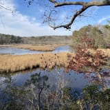 Bush Mill Preserve Trail, Virginia - 47 Reviews, Map | AllTrails
