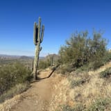 Sidewinder and Ocotillo Trail Loop, Arizona - 1,782 Reviews, Map ...