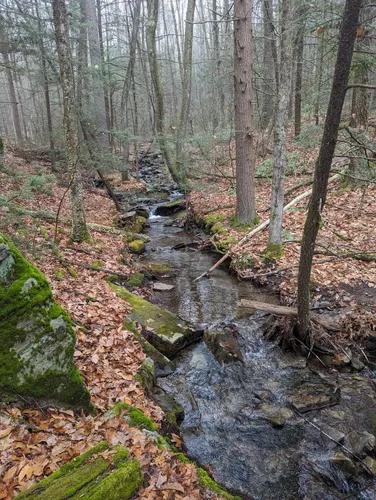 Best Hikes and Trails in Northfield Mountain Recreation and ...