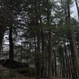 Red Rocks Park Loop, Vermont - 1,497 Reviews, Map | AllTrails