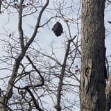 Thompson Island Trail, Delaware - 104 Reviews, Map | AllTrails