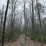 Shenipsit Trail, Connecticut - 362 Reviews, Map | AllTrails