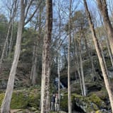 Mount Toby Trail, Massachusetts - 1,046 Reviews, Map | AllTrails