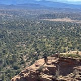 Robbers Roost Trail, Arizona - 1,424 Reviews, Map | AllTrails