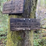Oneonta Gorge Trail, Oregon - 701 Reviews, Map | AllTrails