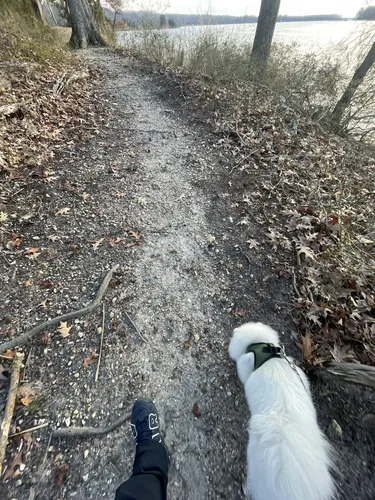 Best Hikes and Trails in Port Tobacco River Park | AllTrails