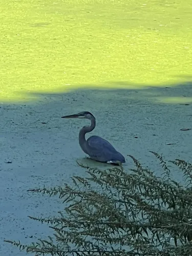 Best Hikes and Trails in Gedney Park | AllTrails