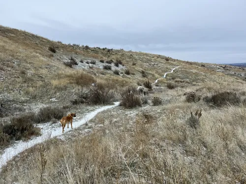 Best Hikes and Trails in Snow Mountain Ranch (Cowiche Canyon ...