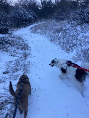 Best Hikes and Trails in Summit Lake State Recreation Area | AllTrails