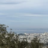 Mount Sutro Loop, California - 2,249 Reviews, Map | AllTrails