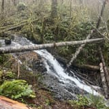 Mima Falls Loop, Washington - 1,410 Reviews, Map | AllTrails