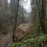 Mima Falls Loop, Washington - 1,410 Reviews, Map | AllTrails