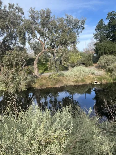 Best Hikes and Trails in Davis | AllTrails