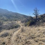 Douglas Spring Camp via Douglas Spring Trail, Arizona - 439 Reviews ...