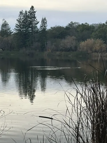 Best Hikes and Trails in Howarth Memorial Park | AllTrails