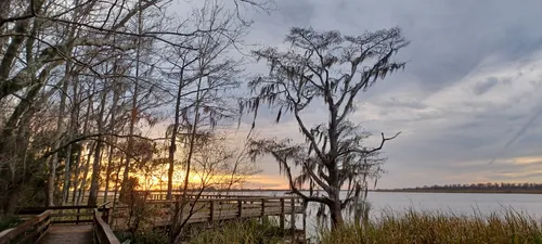 Best Hikes and Trails in Historic Blakeley State Park | AllTrails