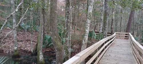 Best Hikes and Trails in Historic Blakeley State Park | AllTrails