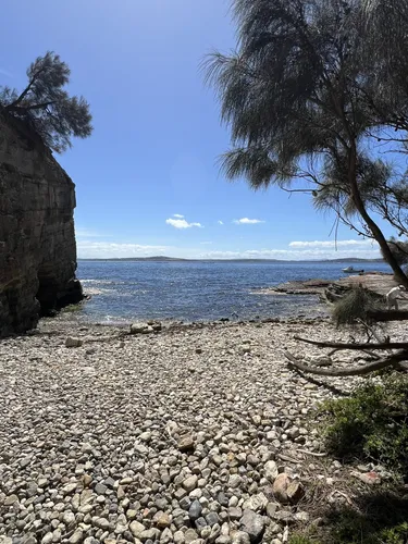 Best Hikes and Trails in Fossil Cove Conservation Area | AllTrails